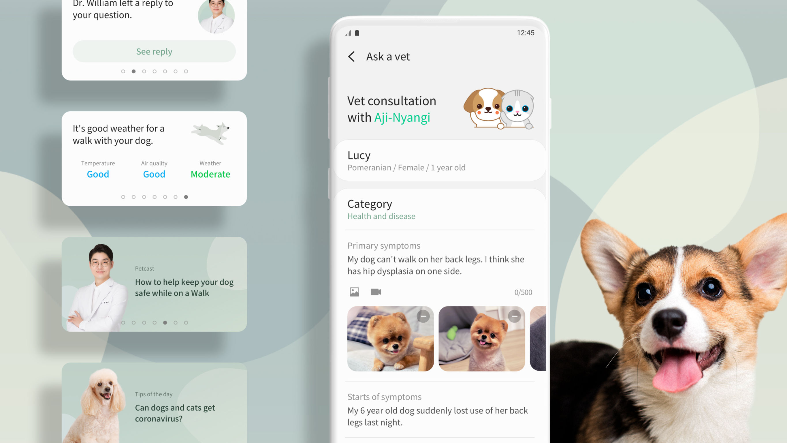 iF Design - Pet Care Service