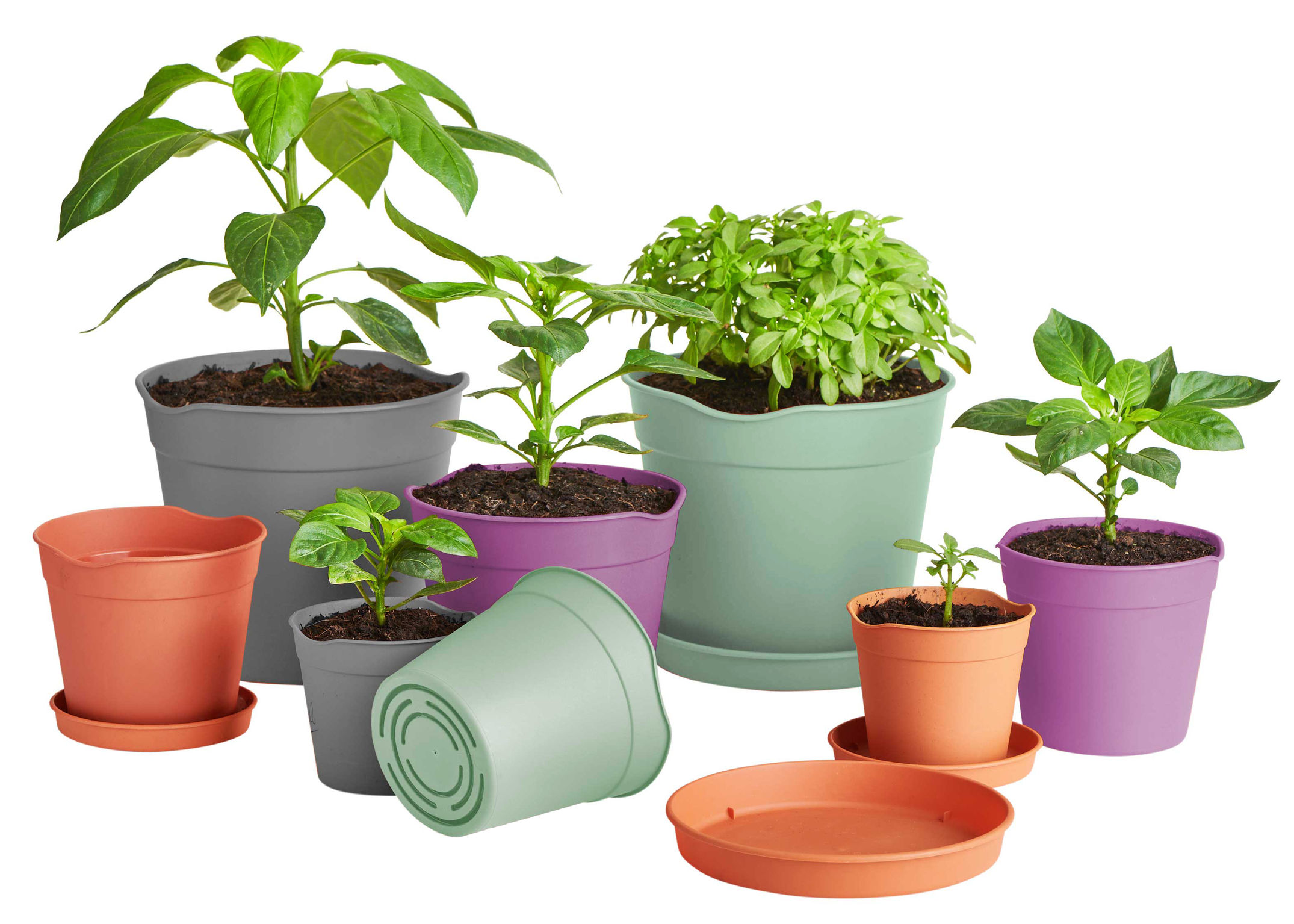 iF Design - Clever Pots ''Easy Release Propagation''